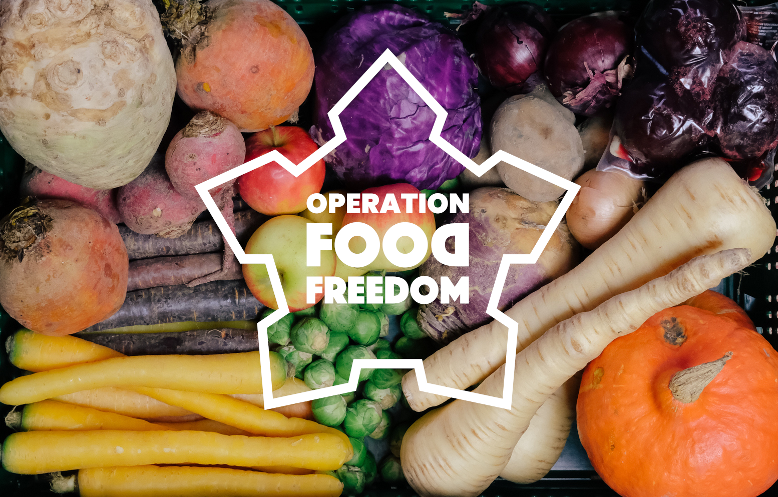 Vers en gezond eten moet voor iedereen toegankelijk zijn | Operation ...